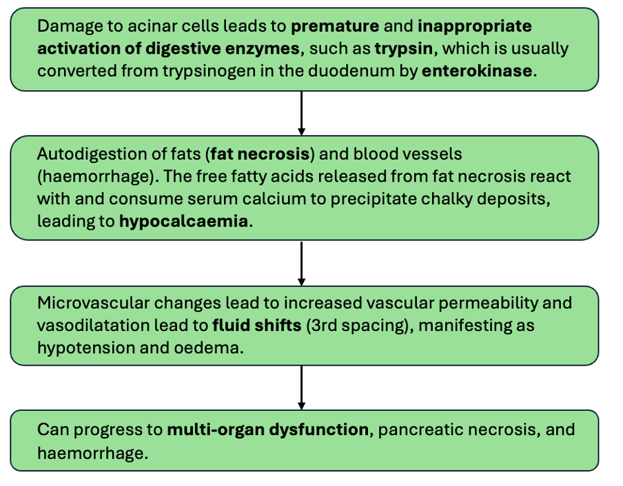 Acute Pancreatitis – MLA Medics